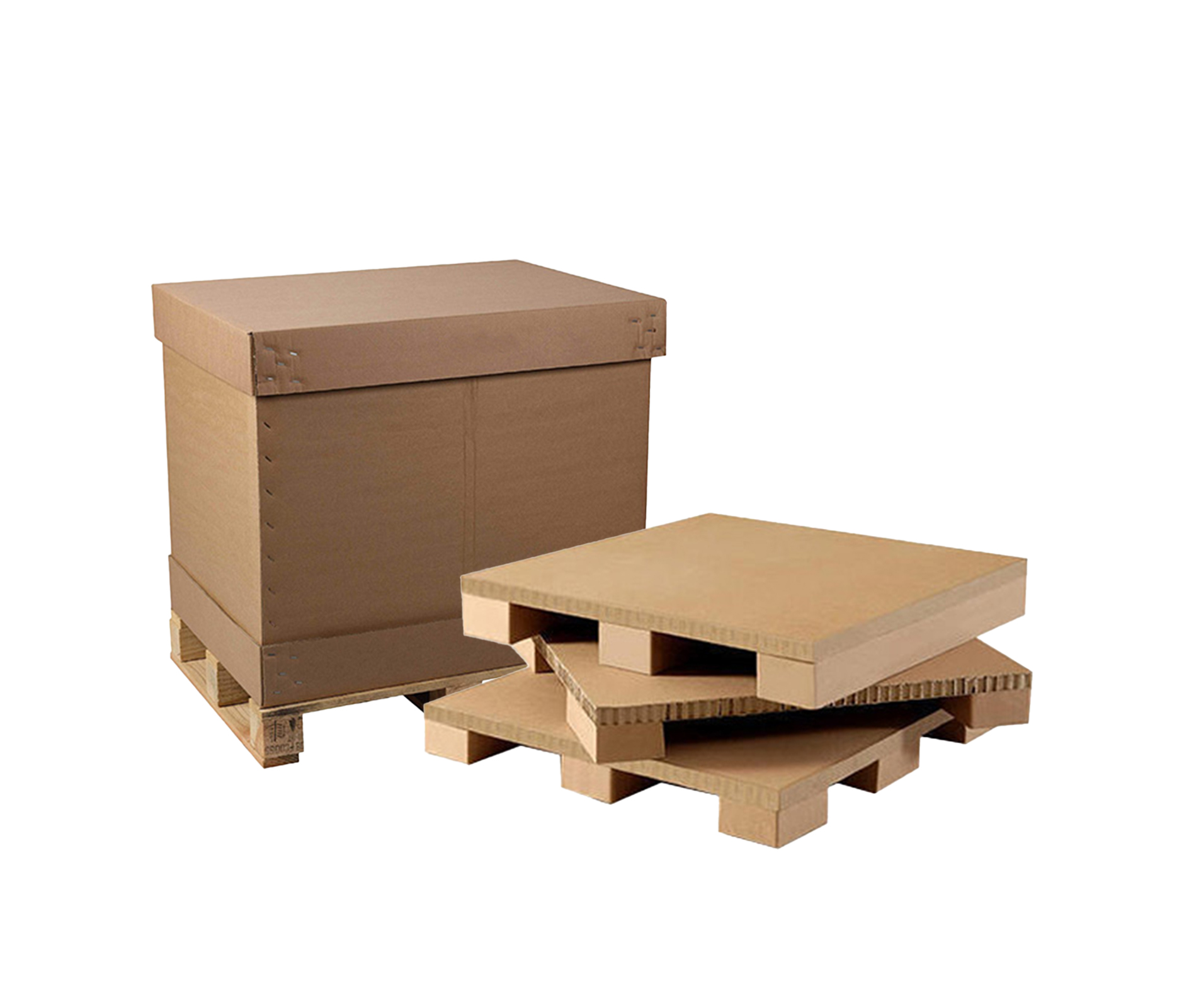 Packaging Producer In Turkiye - Sarcina - Buyfromturkey